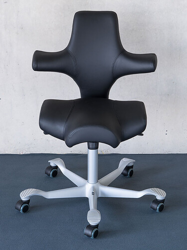 HÅG • Capisco chaise de bureau pivotante – disponible ici